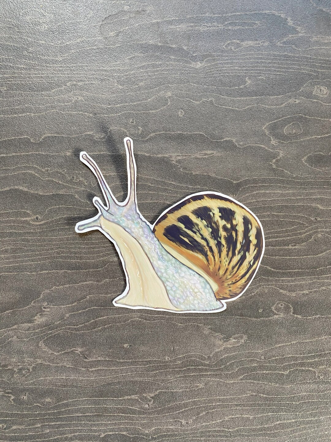 Garden Snail Vinyl Sticker Bug Series Insect Sticker - Etsy