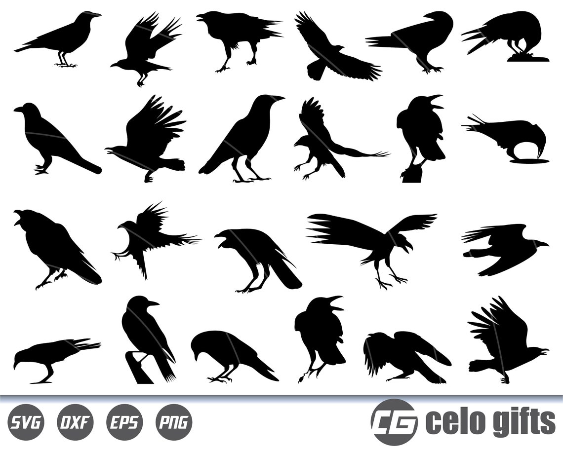 Crow SVG Crow Vector Cricut File Clipart Silhouette - Etsy