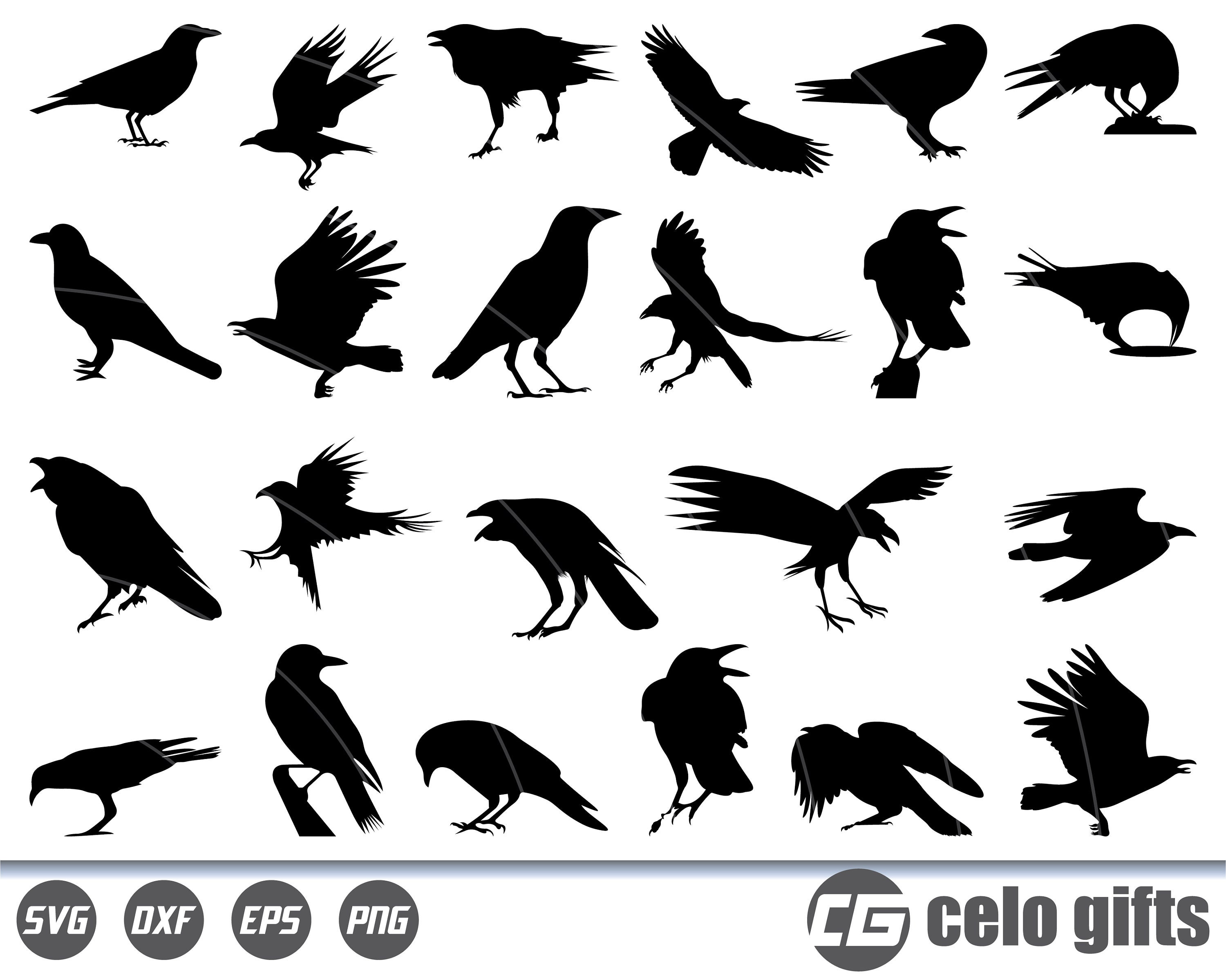 Crow SVG Crow Vector Cricut File Clipart Silhouette - Etsy