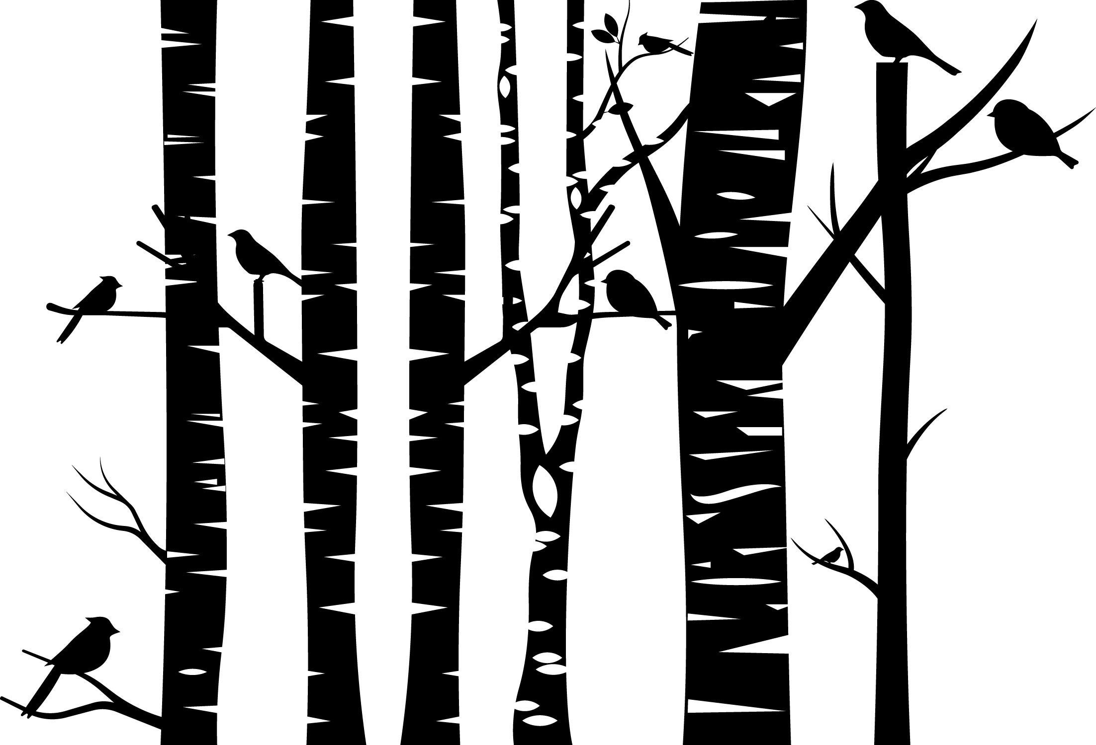 Birch Tree SVG, Birch Trees Vector, Cricut File, Clipart, Silhouette ...