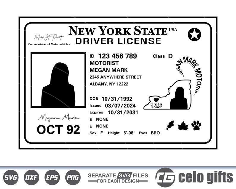 New York Driver License SVG, New York Driver License Vector, Cricut ...