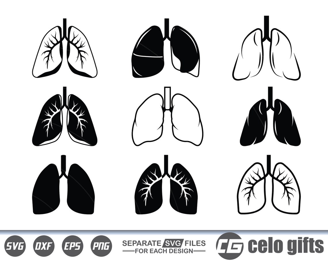 Human Lungs SVG, Human Lungs Vector, Cricut File, Clipart, Silhouette ...