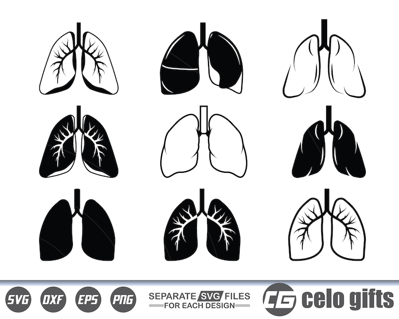 Human Lungs SVG, Human Lungs Vector, Cricut File, Clipart, Silhouette ...