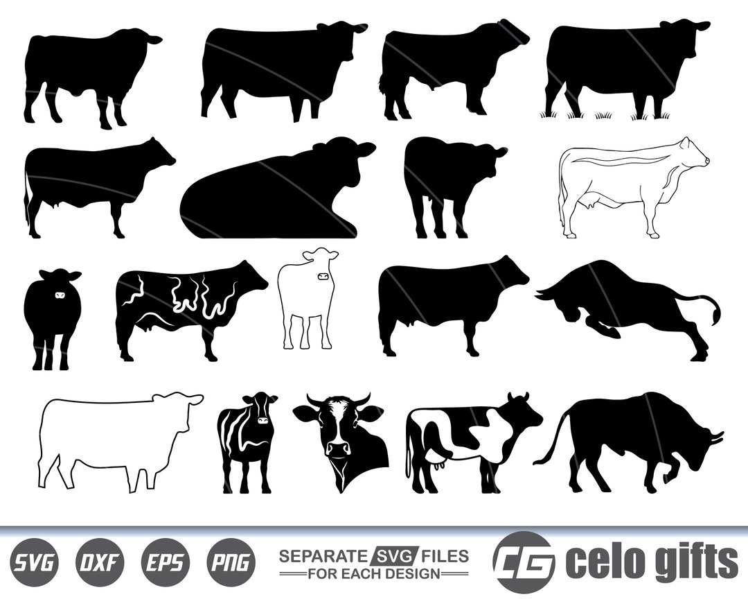 Angus Bull SVG, Angus Bull Vector, Cricut File, Clipart, Silhouette ...