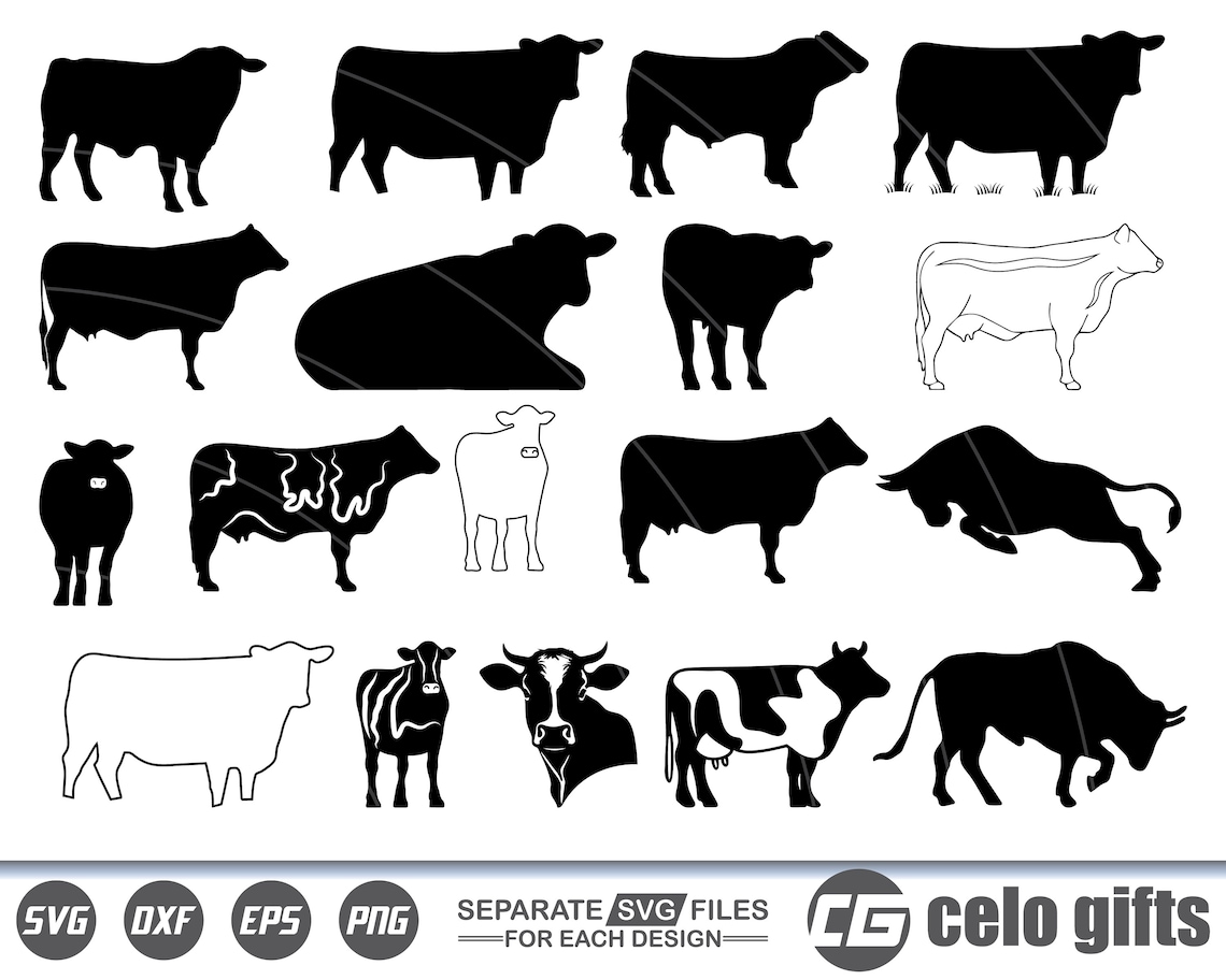 Angus Bull SVG, Angus Bull Vector, Cricut File, Clipart, Silhouette ...