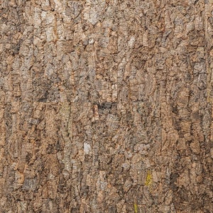 Decorative Wall Cork Bark VIRGIN 915 X 610 X 25 Mm - Etsy