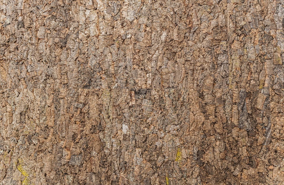 Decorative Wall Cork Bark VIRGIN 915 X 610 X 25 Mm - Etsy