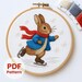 Snowy Peter Rabbit Hand Embroidery Pattern, 6 Sizes (PDF Pattern) - Etsy