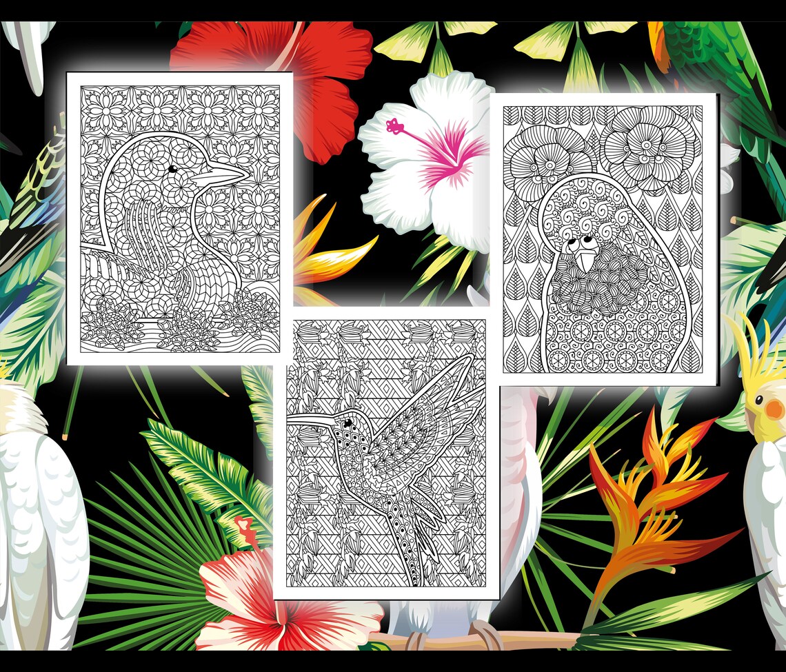 20 Zentangle Birds Coloring Pages Floral and Plants Coloring Pages ...