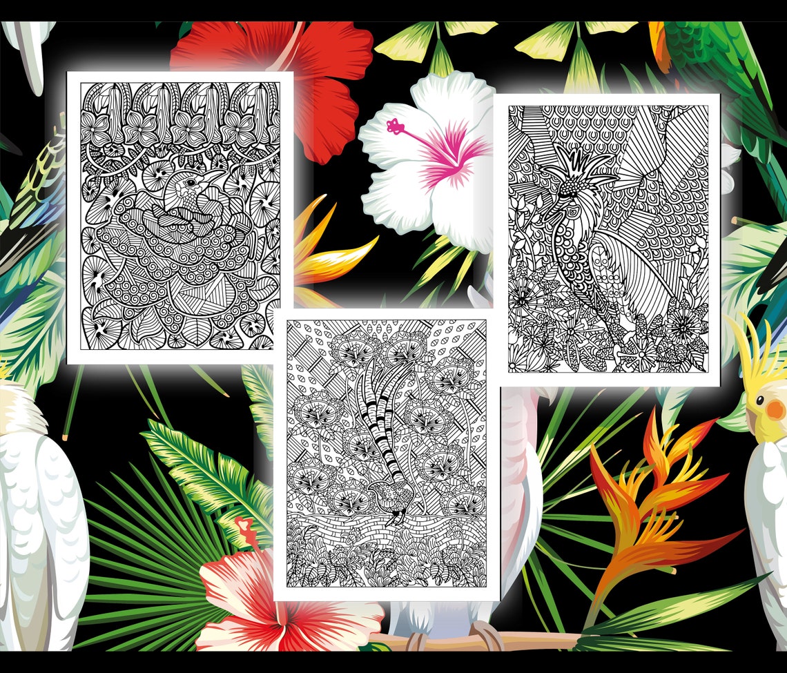 10 Zentangle Birds Coloring Pages Floral and Plants Coloring Pages ...
