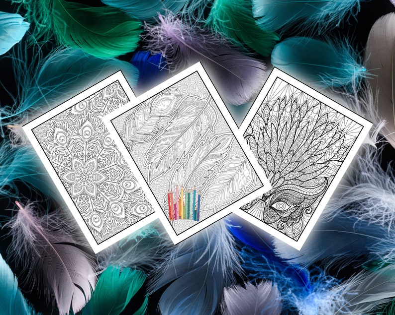 10 Feather Pattern Coloring Pages Feather Coloring in Zentangle Style ...