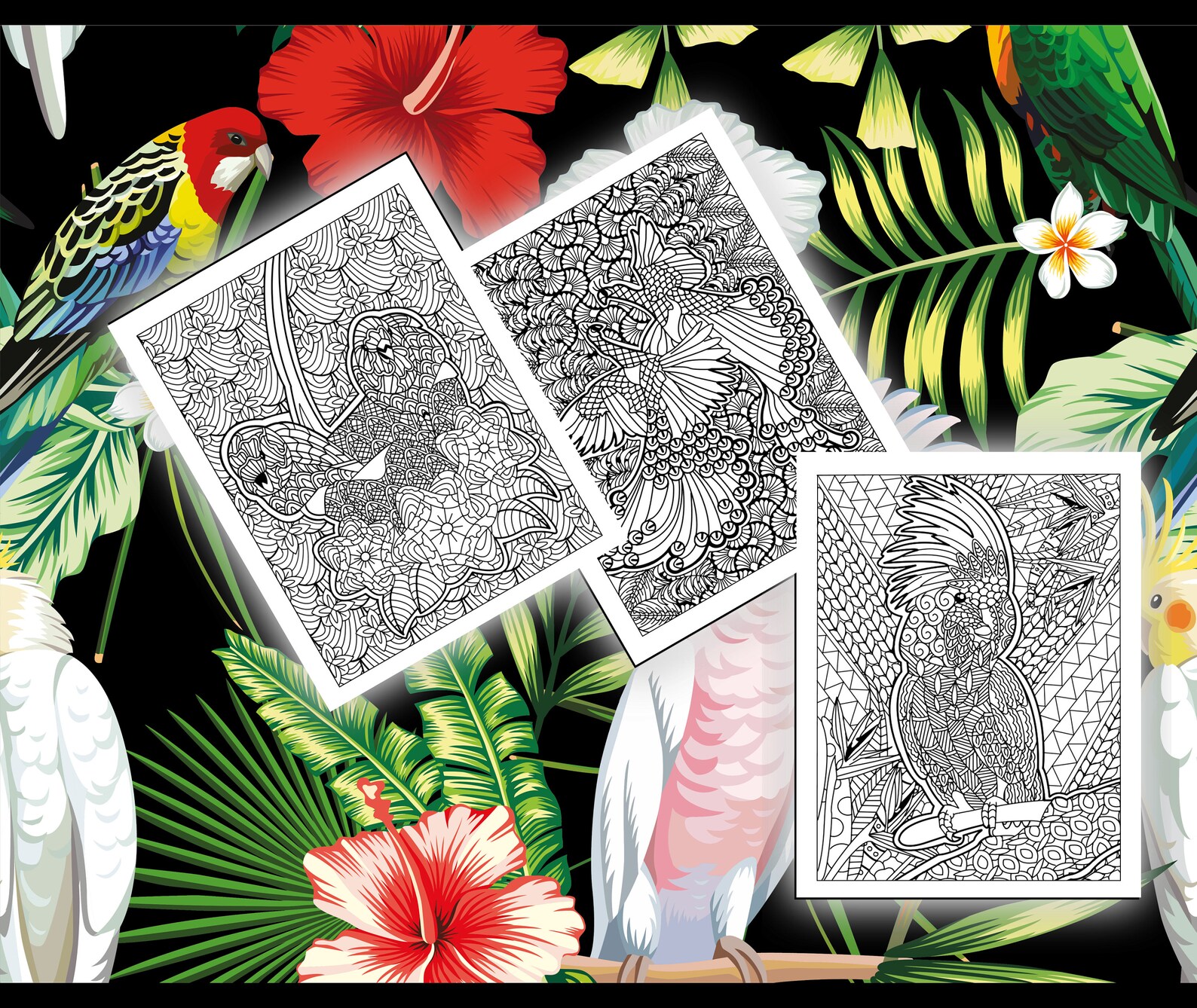 10 Zentangle Birds Coloring Pages Floral and Plants Coloring Pages ...