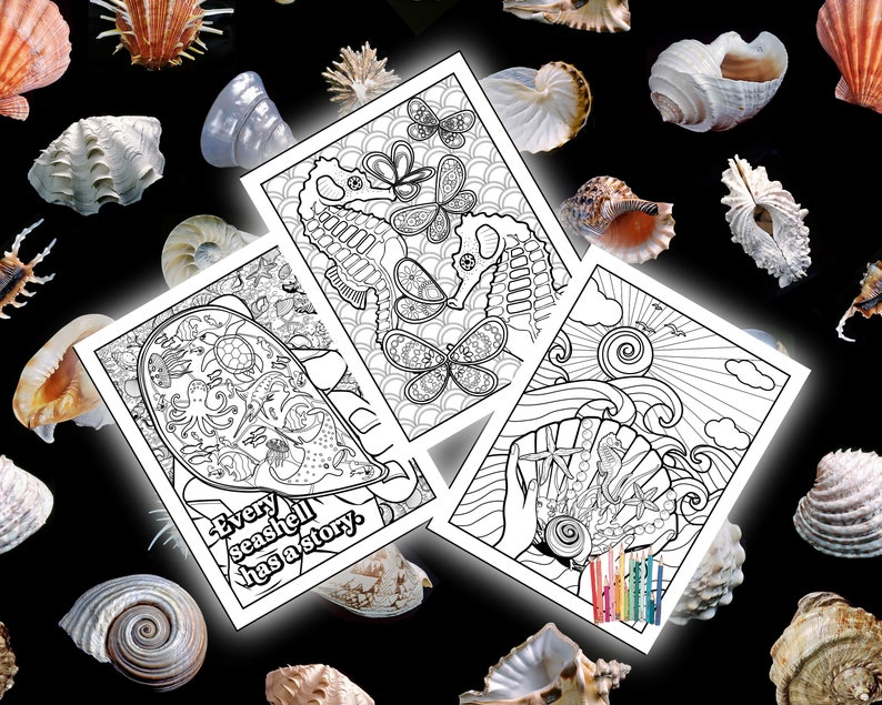 20 Seashell Coloring Pages Beach Coloring Ocean Mermaid Coloring Pages ...