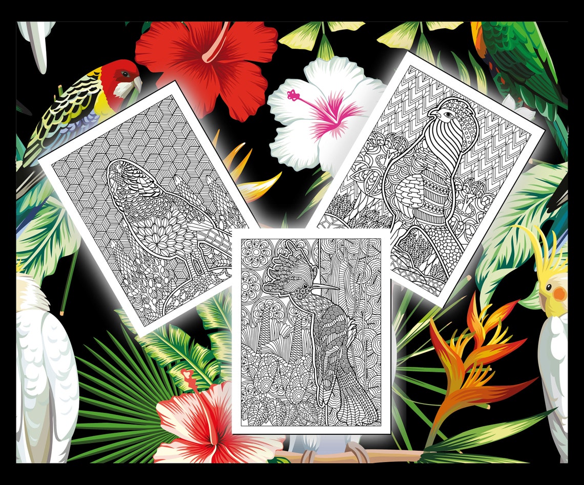 10 Zentangle Birds Coloring Pages Floral and Plants Coloring Pages ...