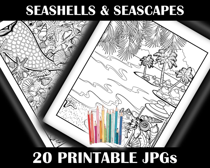 20 Seashell Coloring Pages Beach Coloring Ocean Mermaid Coloring Pages ...