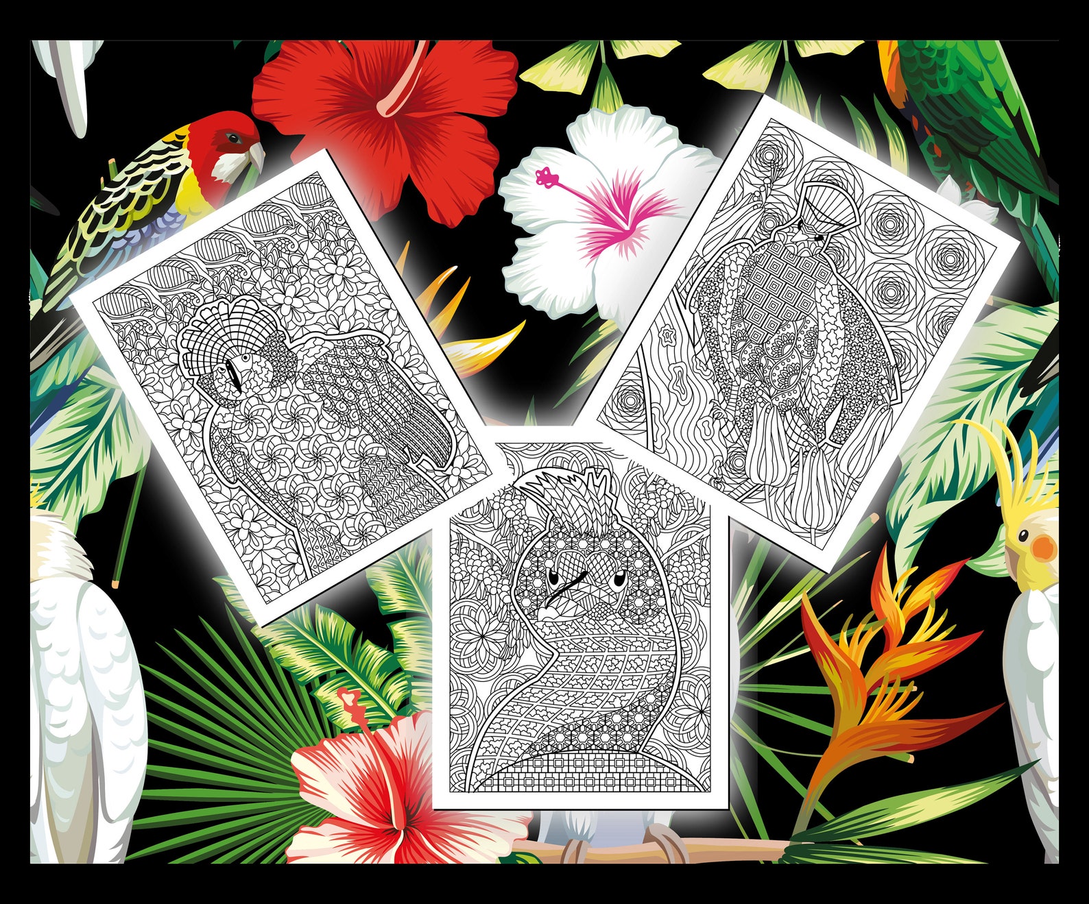 20 Zentangle Birds Coloring Pages Floral and Plants Coloring Pages ...