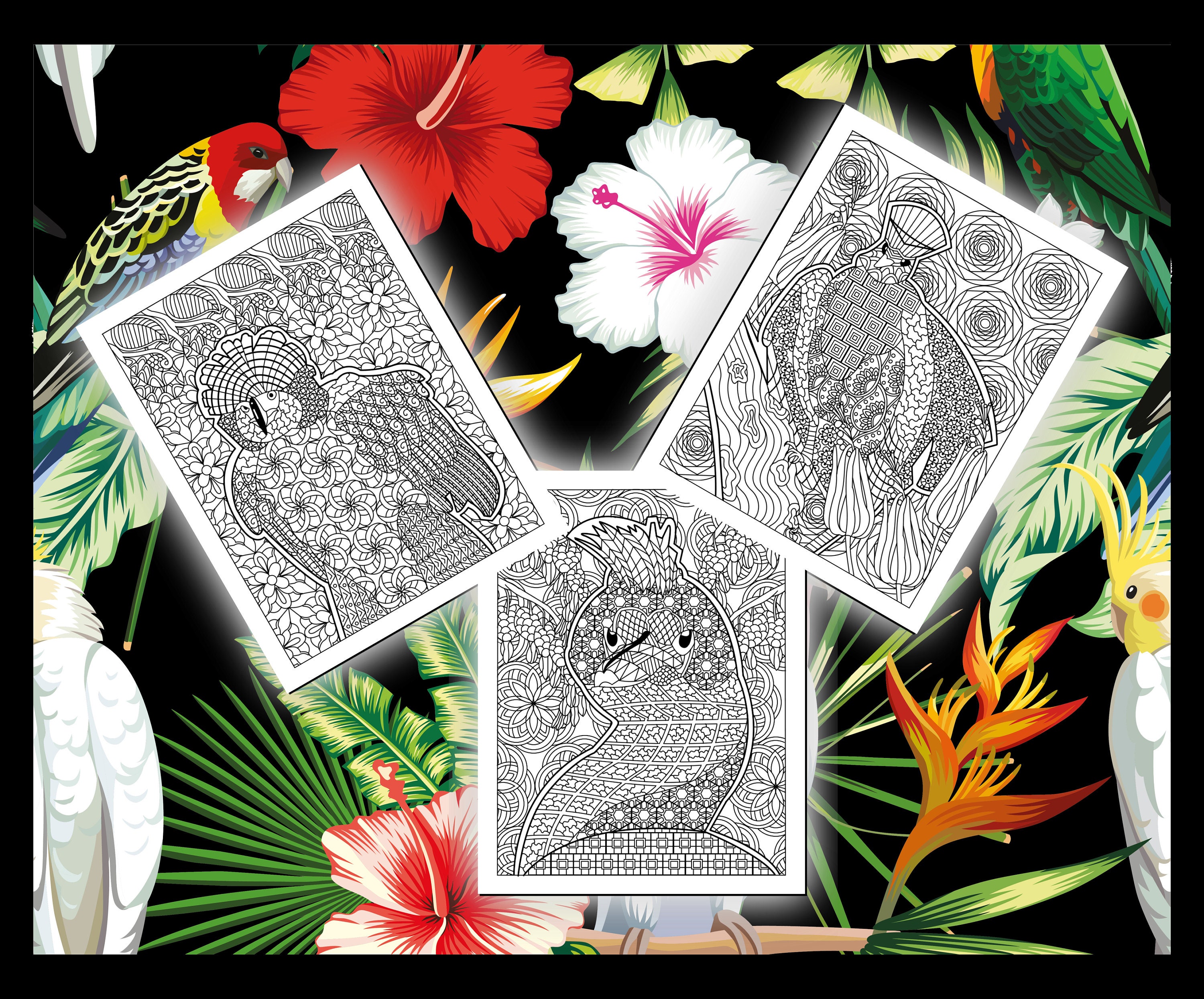 20 Zentangle Birds Coloring Pages Floral and Plants Coloring Pages ...