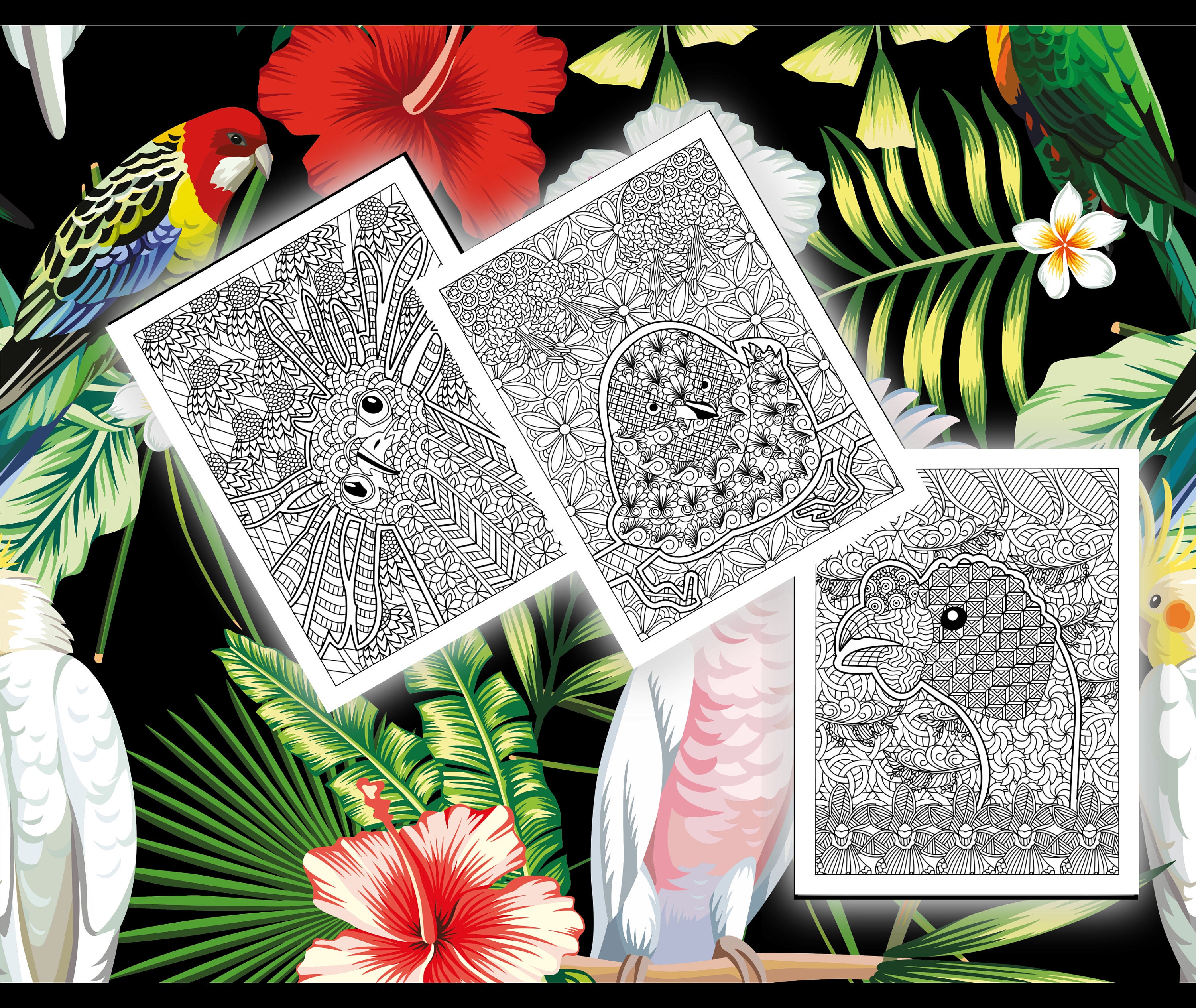 20 Zentangle Birds Coloring Pages Floral and Plants Coloring Pages ...