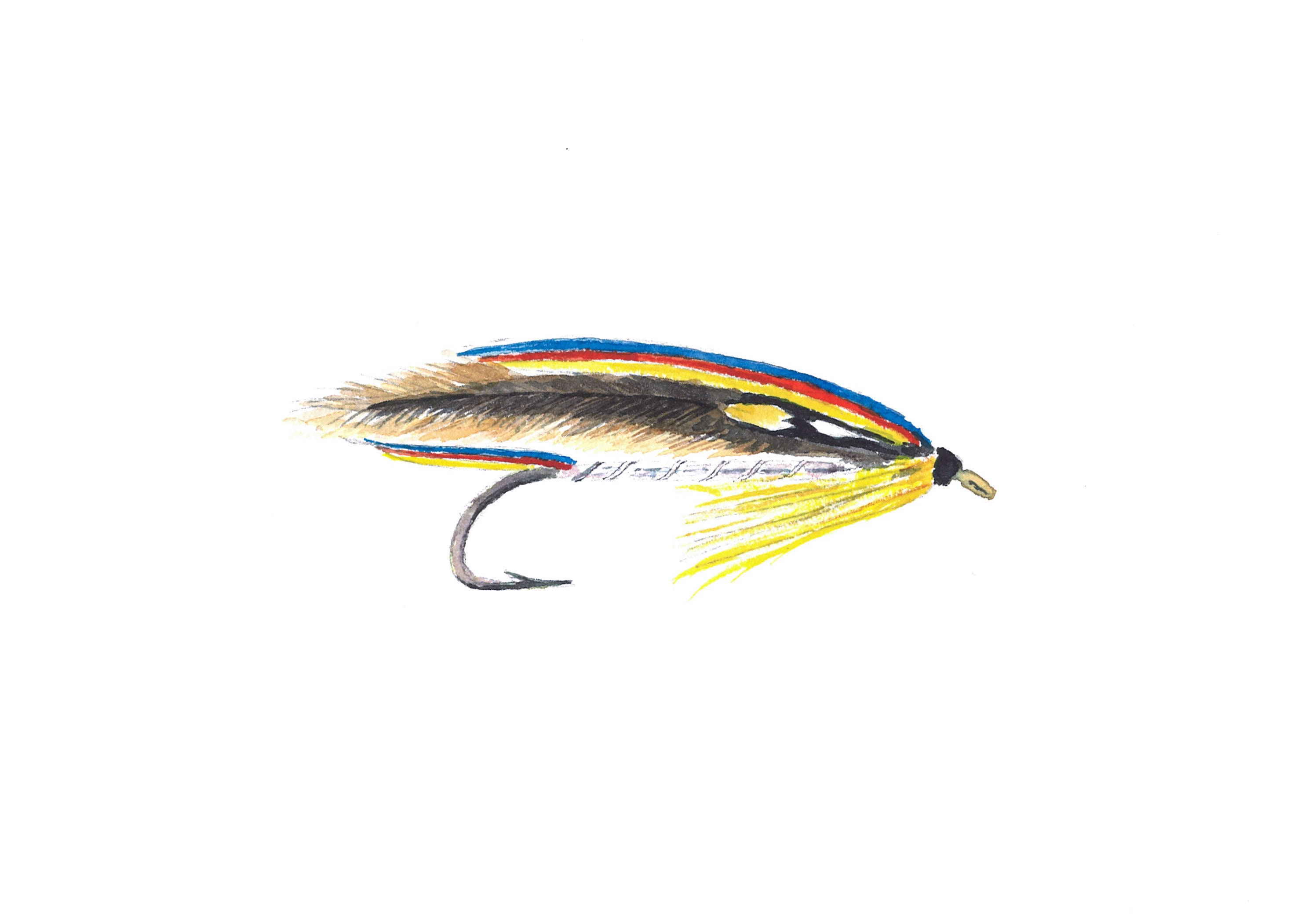Classic Salmon Fly Lord Iris Original Watercolor - Etsy