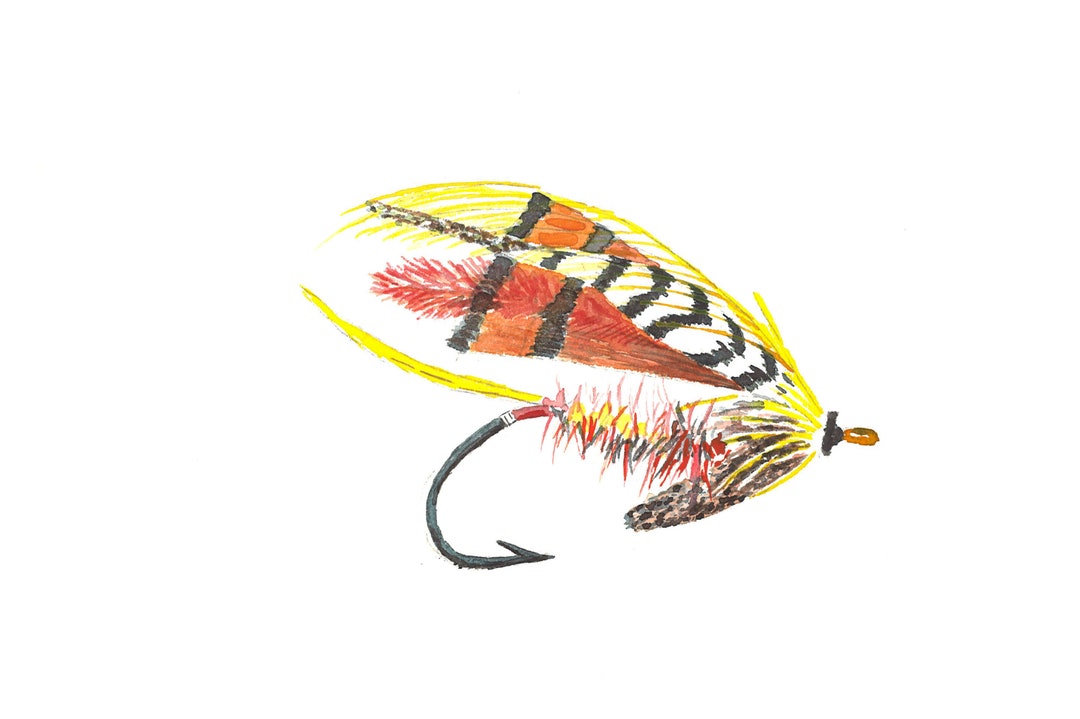 Classic Salmon Fly Pattern - the Major Original Watercolor - Etsy