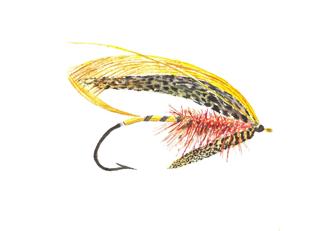 Classic Salmon Fly Payyern the Colonel Original Watercolor - Etsy