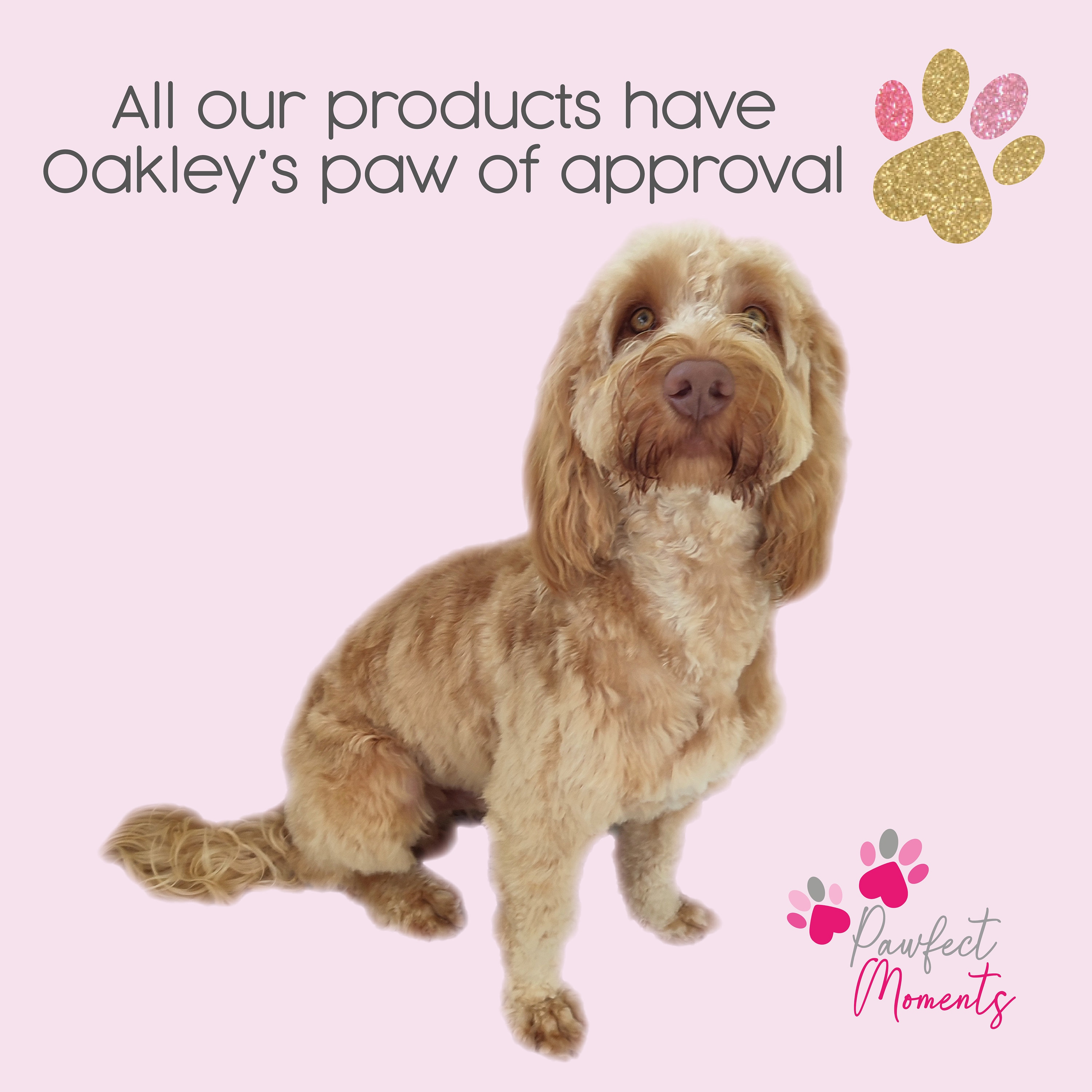 Cockapoo Mum Mug Cute Tea Coffee Cup Dog Lover Puppy Owner - Etsy