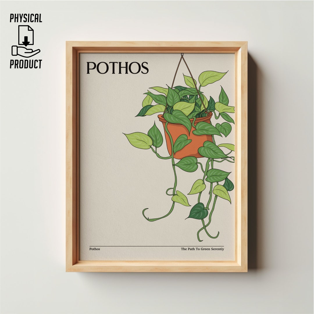 Pothos House Plant Art Print Poster Botanical Wall Art for Any Room in ...