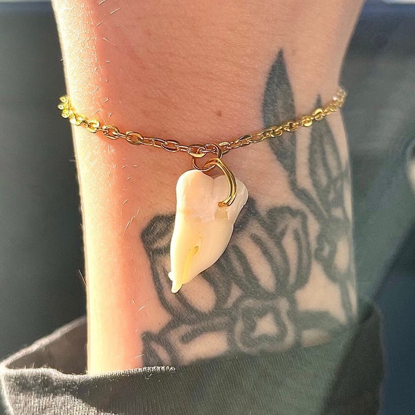 Tooth Bracelet - Etsy