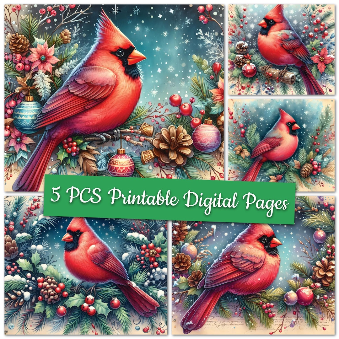 Cardinal Digital Art Pages Cardinal Sublimation Designs Printable ...