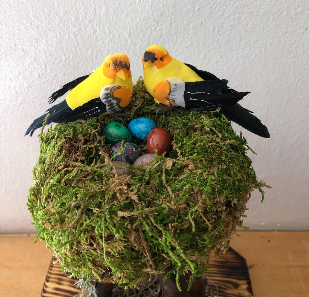 Oriole Bird Nest - Etsy