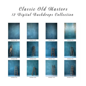 12 Classic Old Master Digital Backdrop Studio Digital Backdrop Ladder ...
