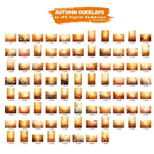 Autumn Overlays for Photoshop Digital Backdrop Autumn Leaves Overlay ...