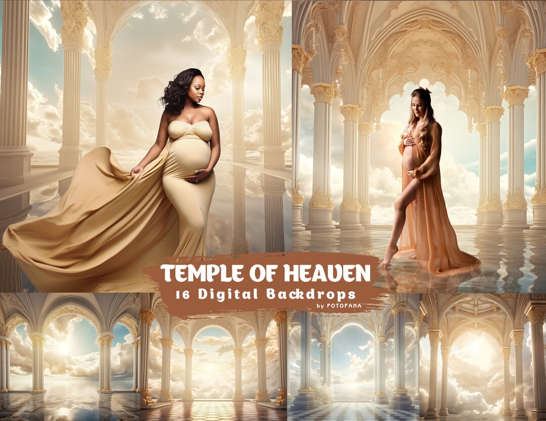 16 Digital Backdrop Goddess Maternity Backdrop Overlays Studio Backdrop ...