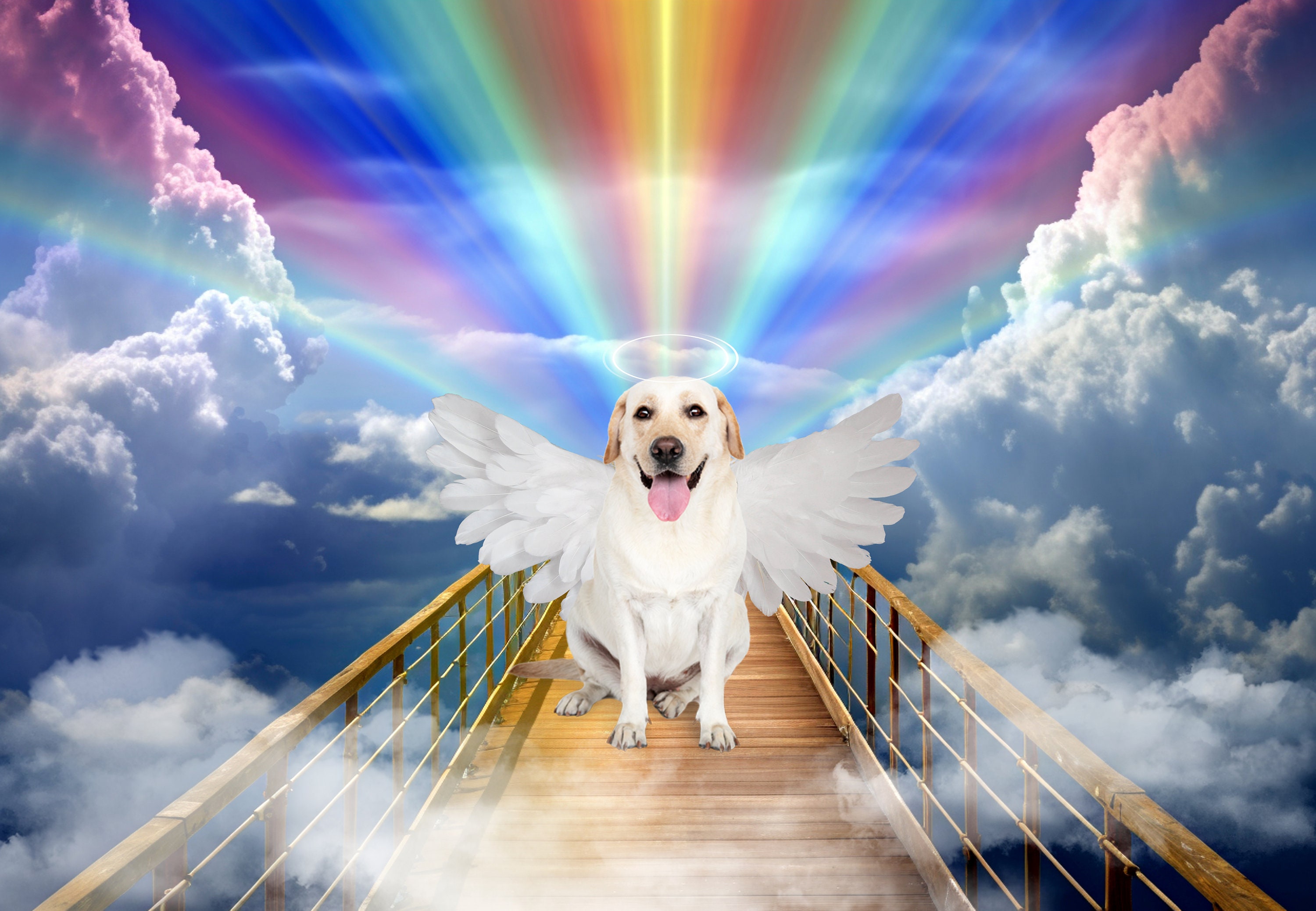 Rainbow Bridge Digital Backdrop Pet Memorial Digital Background Wings ...