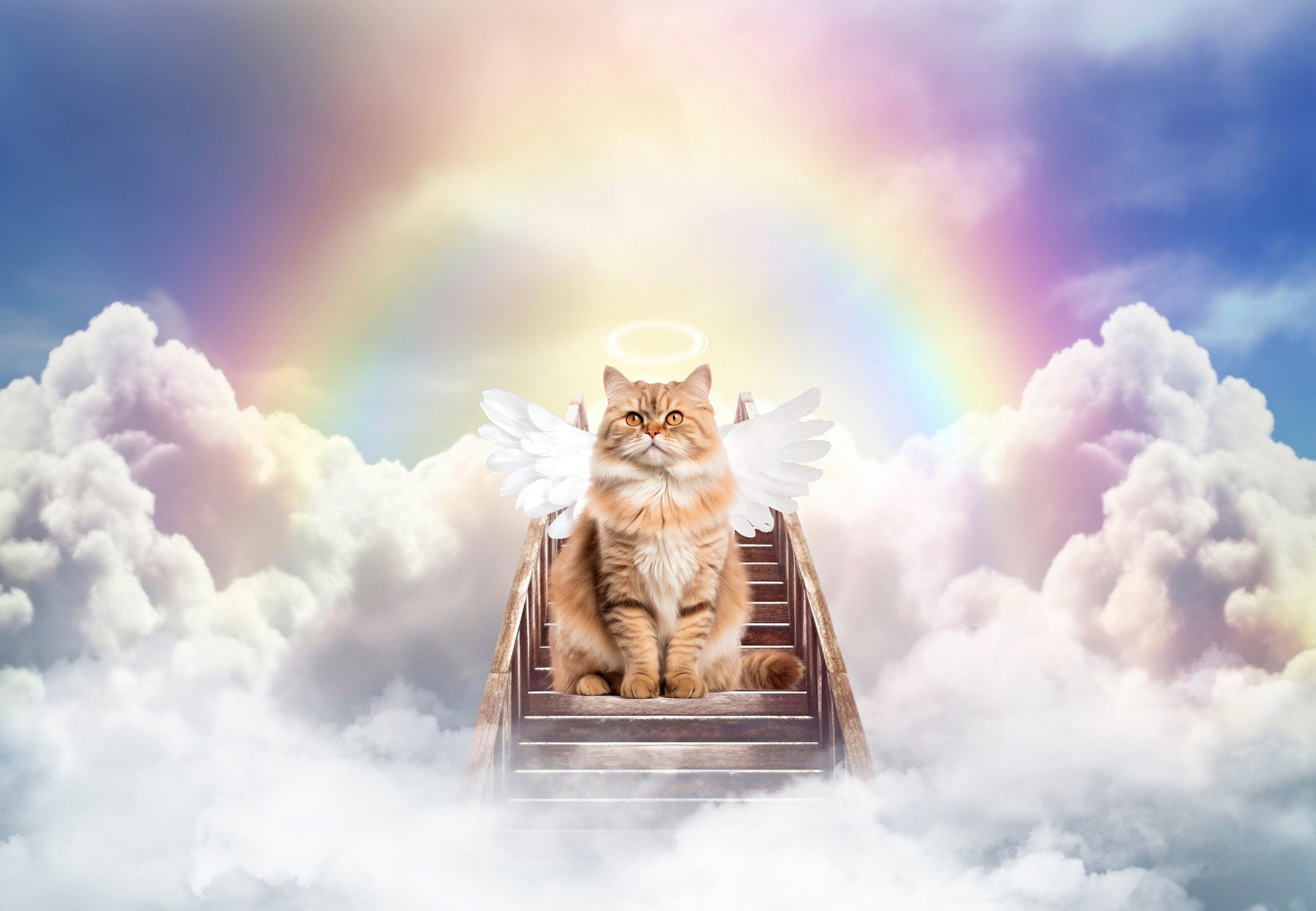 Rainbow Bridge Digital Backdrop Pet Memorial Digital Background Wings ...