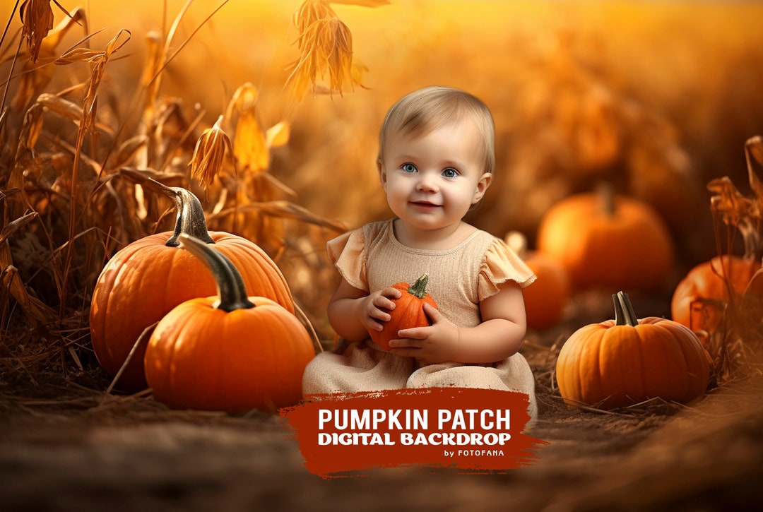 Autumn Digital Backdrop Pumpkin Patch Digital Dackdrop Fall Digital ...