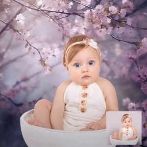 Floral Fine Art Spring Digital Backdrops Maternity Overlays Photography ...