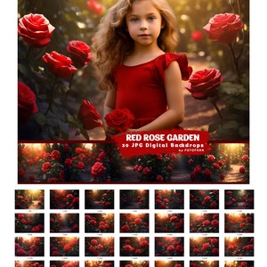 Red Rose Garden Digital Backdrop Portait Summer Flower Photography ...