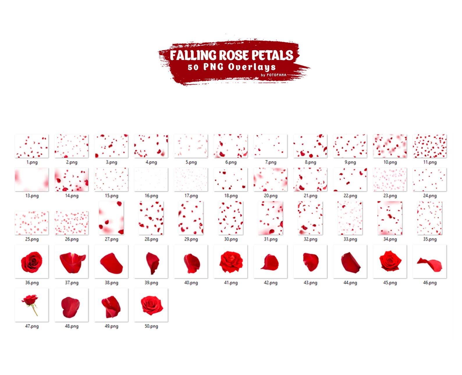 50 RED ROSE PETALS Digital Overlays Wedding Overlay Romantic Photoshop ...