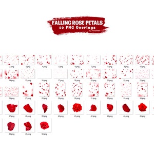 50 RED ROSE PETALS Digital Overlays Wedding Overlay Romantic Photoshop ...