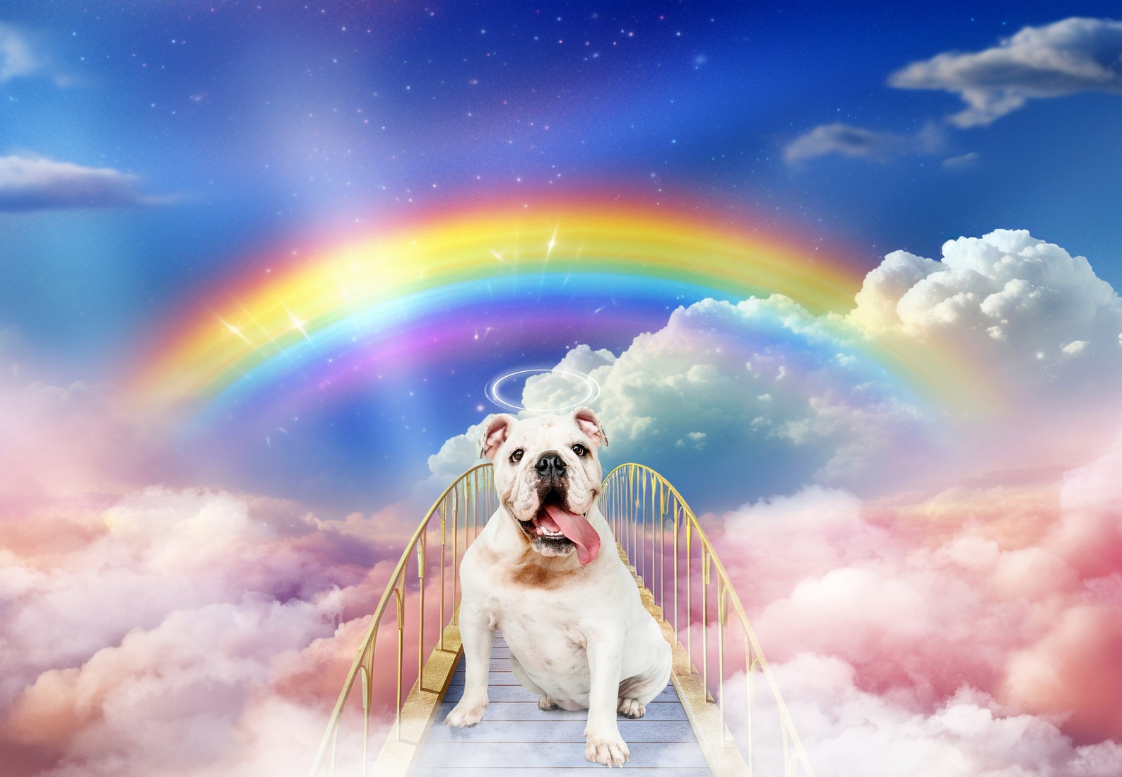 Rainbow Bridge Digital Backdrop Pet Memorial Digital Background Wings ...