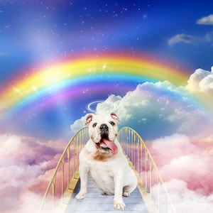 Rainbow Bridge Digital Backdrop Pet Memorial Digital Background Wings ...