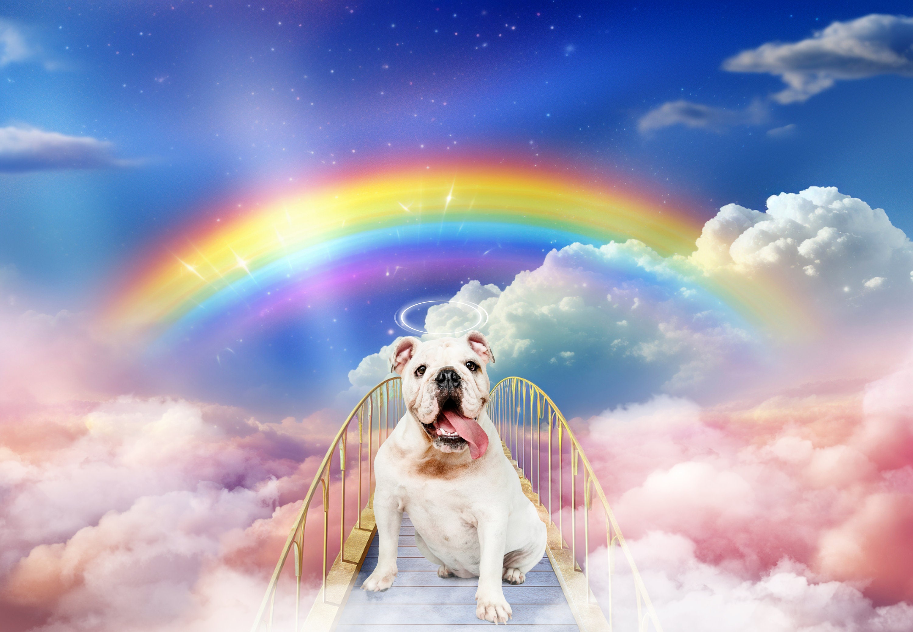 Rainbow Bridge Digital Backdrop Pet Memorial Digital Background Wings ...