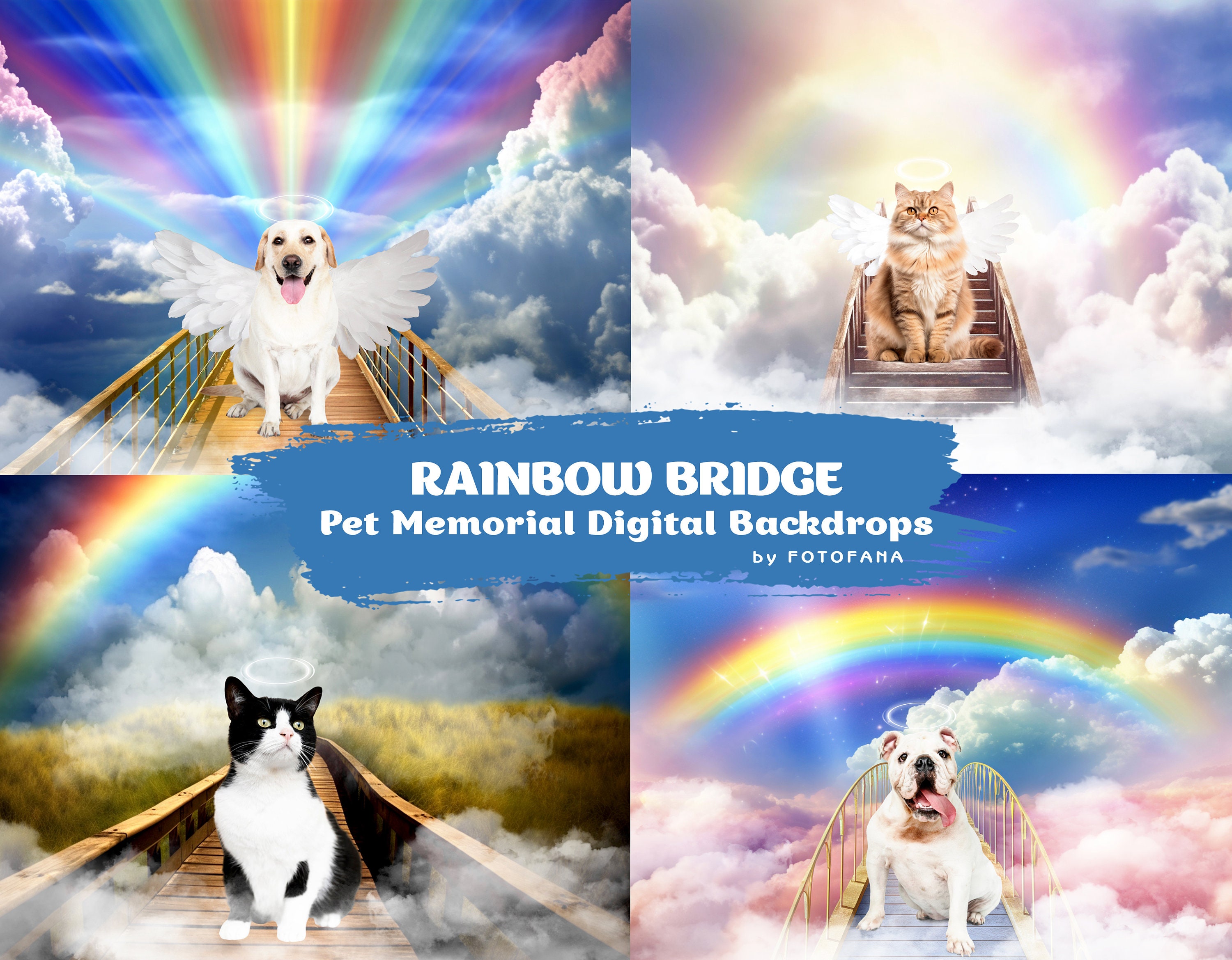 Rainbow Bridge Digital Backdrop Pet Memorial Digital Background Wings ...