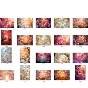 40 Spring Backdrop Digital Blossom Portrait Photo Editing Photoshop ...