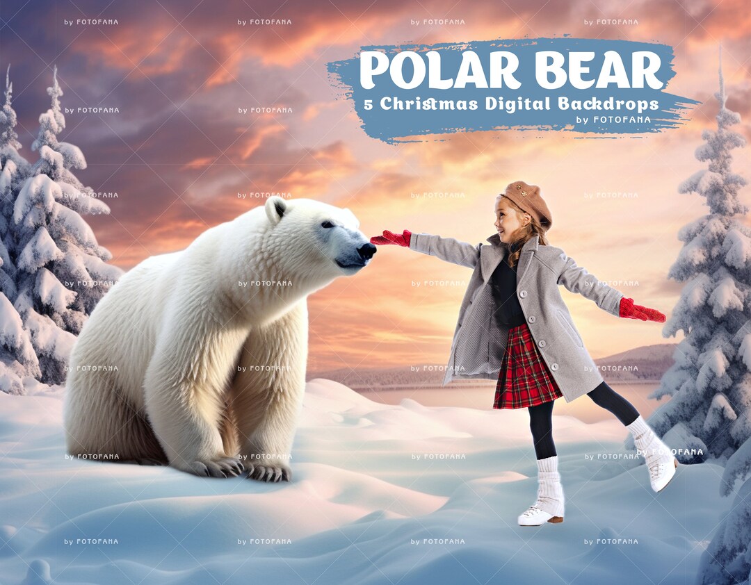5 Polar Bear Christmas Digital Backdrop Christmas Digital Background ...