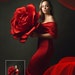 75 Red Tulle Overlays Photoshop Veil Digital Flying Tulle Veil Overlays ...