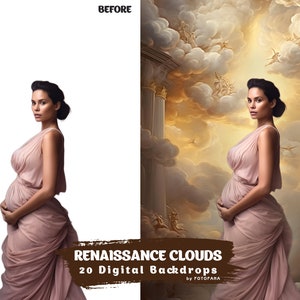 20 RENAISSANCE CLOUDS Digital Backdrop Sky Maternity Background ...
