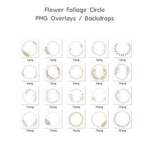 Floral Golden Circle Overlays Maternity Light Ring Frame Circles Shine ...