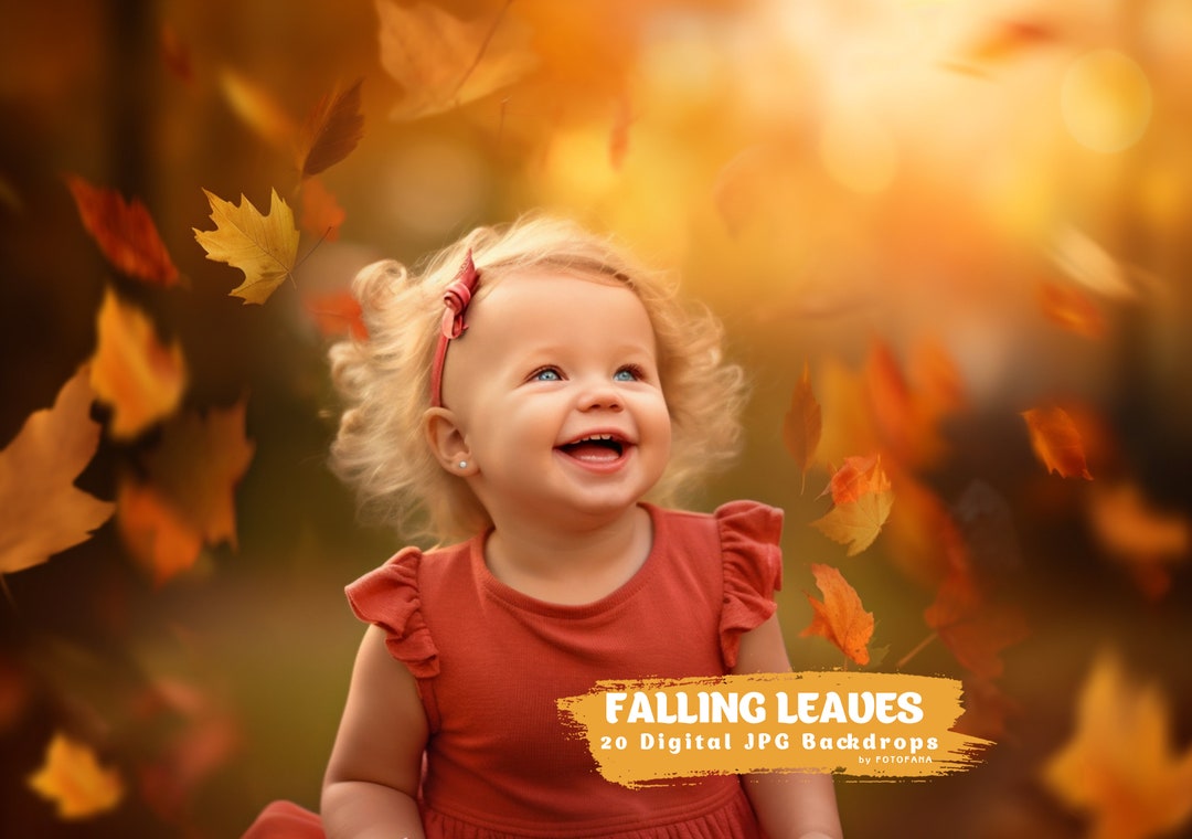 20 Falling Leaves Digital Backdrops Autumn Overlays for Photoshop ...